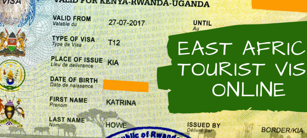 Tanzania hesitant on EAC single tourist visa - ideashousebiznews